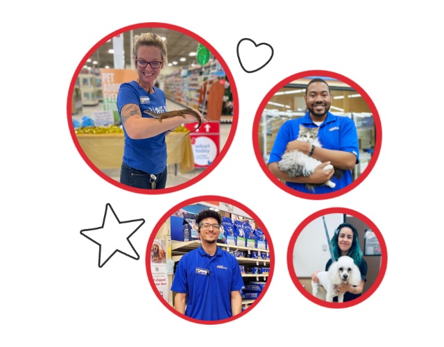 Login - Hiring Management Console